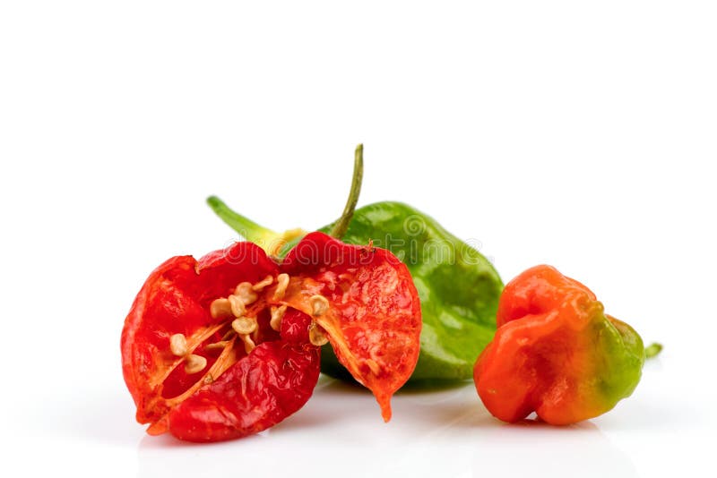 Bhut Jolokia or Ghost Pepper, Chilli Fruits Isolated on White ...