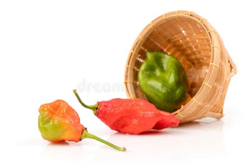 Bhut Jolokia or Ghost Pepper, Chilli Fruits Isolated on White ...