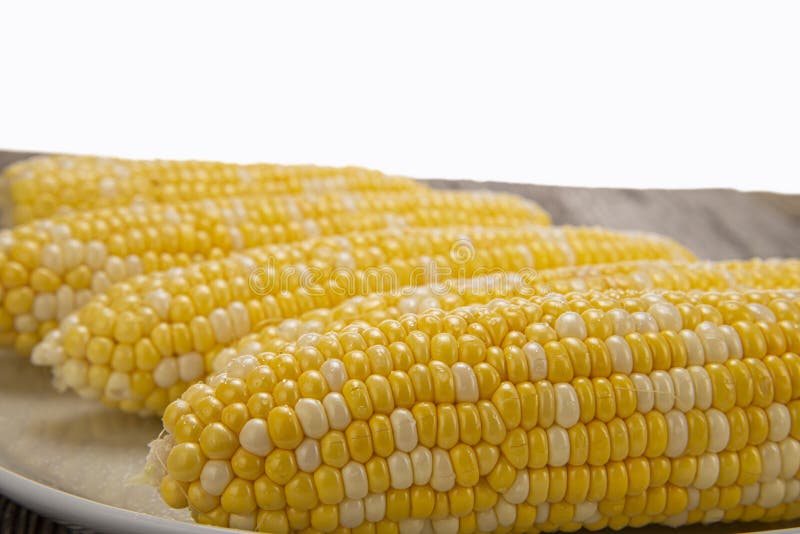 Bi-color sweet corn stock image. Image of groceries - 189055067