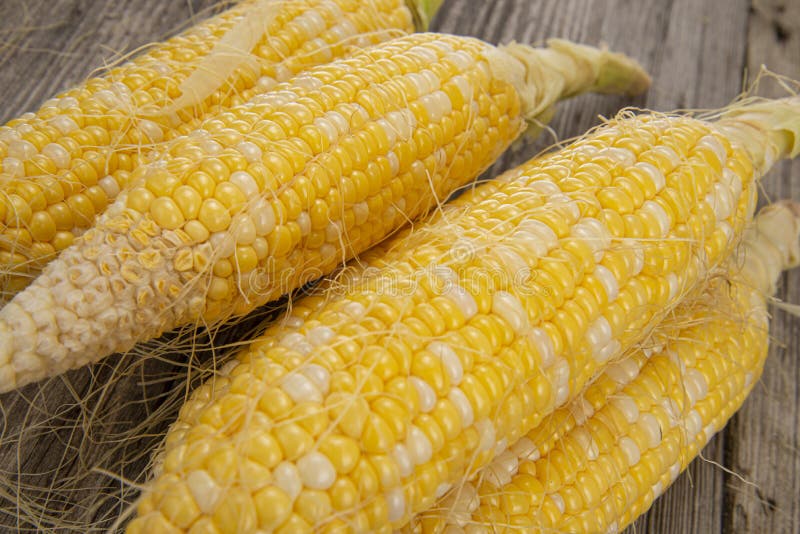 Bi-color sweet corn stock image. Image of cereal, corn - 189054967