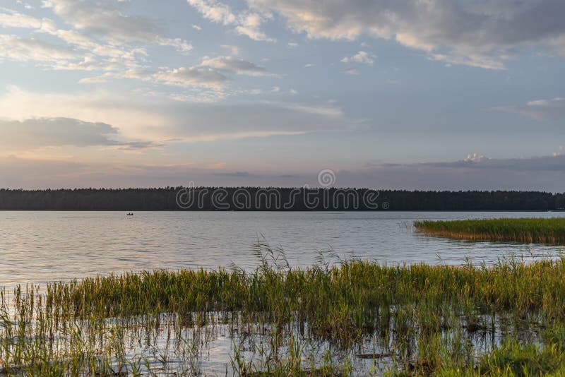 Biale Lake in Augustow. Poland Stock Photo - Image of tree, bushes ...