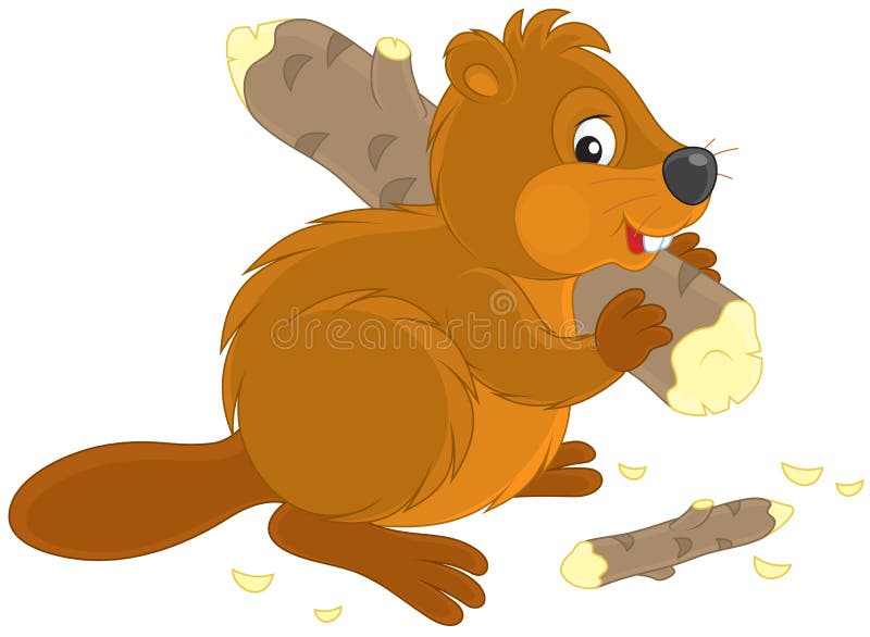 Biber Stock Illustrationen, Vektoren, & Kliparts - 8,699 Stock ...