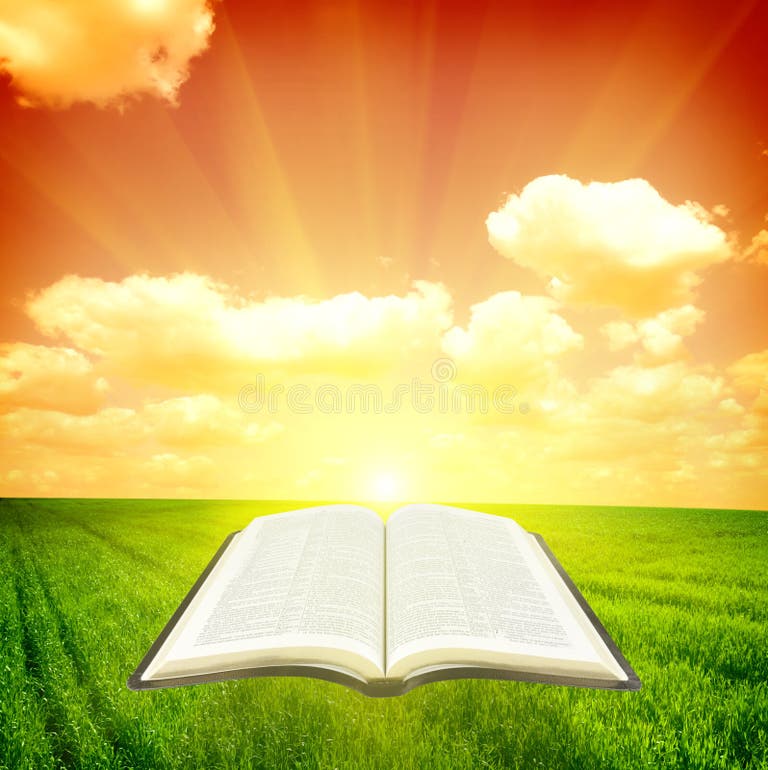 Open Bible Line Art Stock Illustrations – 1,332 Open Bible Line Art ...