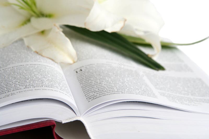 Bible and Flowers stock photo. Image of read, religious - 2986914