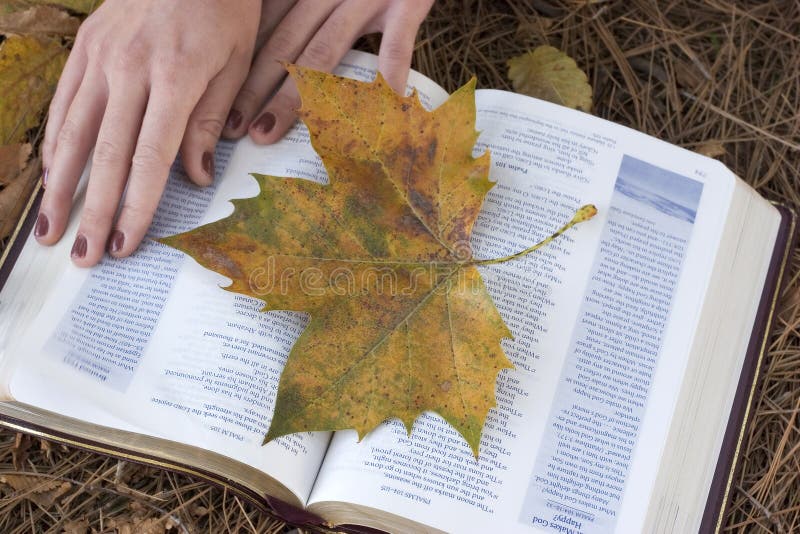 313 Bible Fall Leaves Stock Photos - Free & Royalty-Free Stock Photos ...