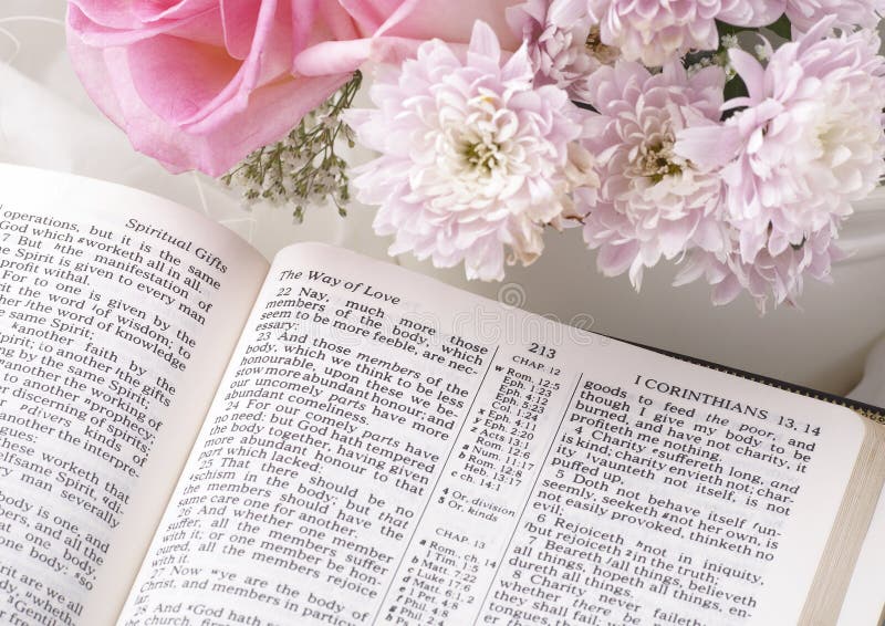 1,536 Open Bible Flower Stock Photos - Free & Royalty-Free Stock Photos ...