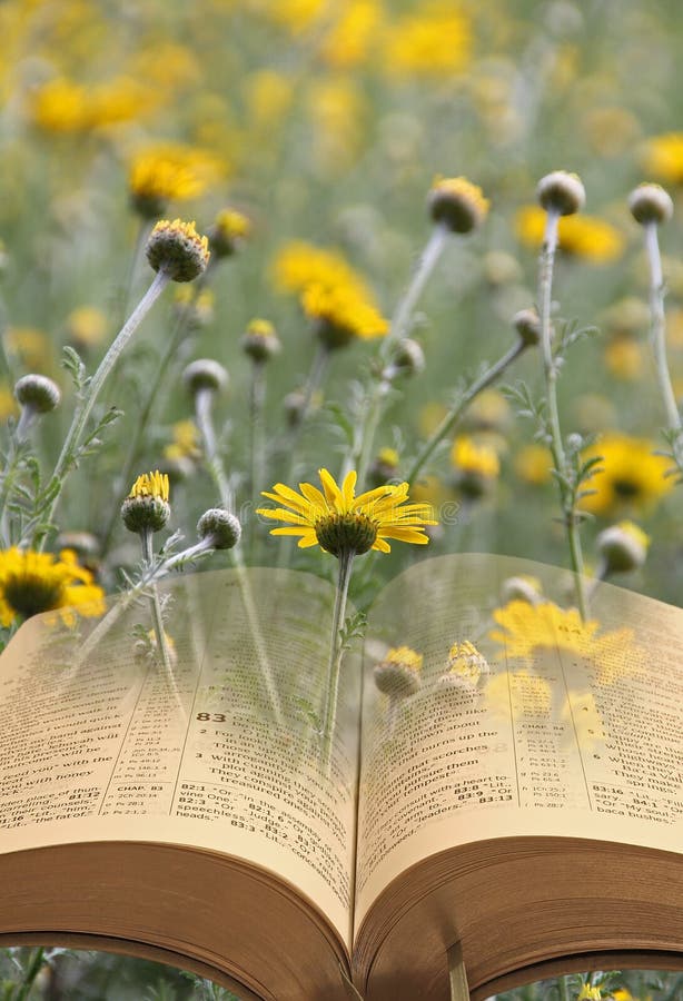 1,359 Jesus Bible Flowers Stock Photos - Free & Royalty-Free Stock ...