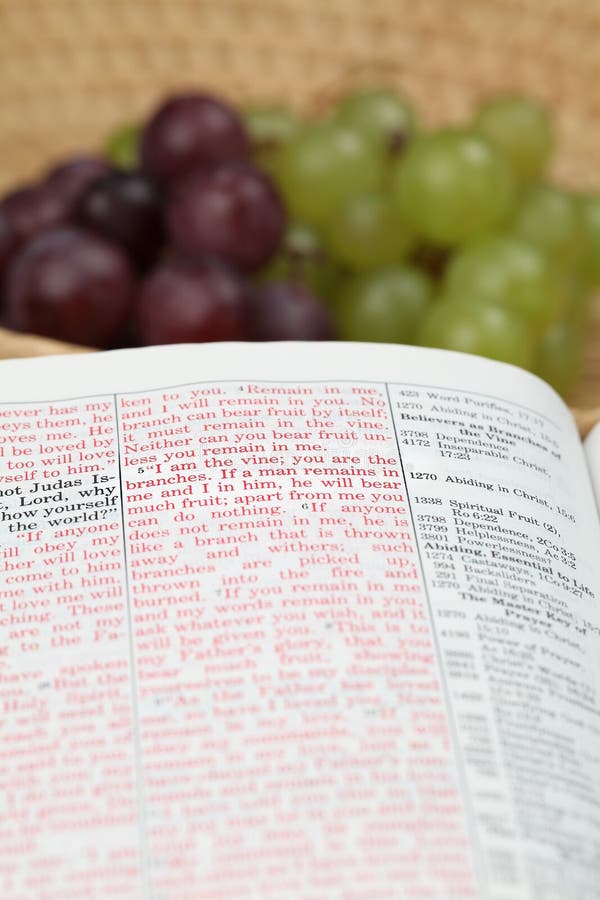 Bible and grapes stock photo. Image of branch, holy, open - 16590328