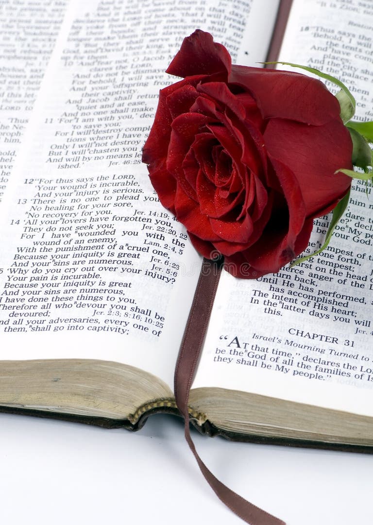 462 Open Bible Rose Stock Photos - Free & Royalty-Free Stock Photos ...