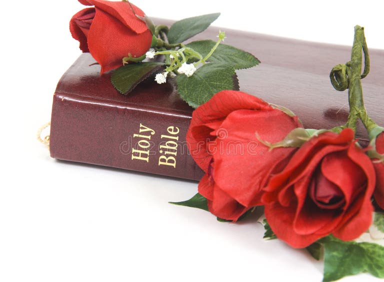 635 Bible Roses Stock Photos - Free & Royalty-Free Stock Photos from ...