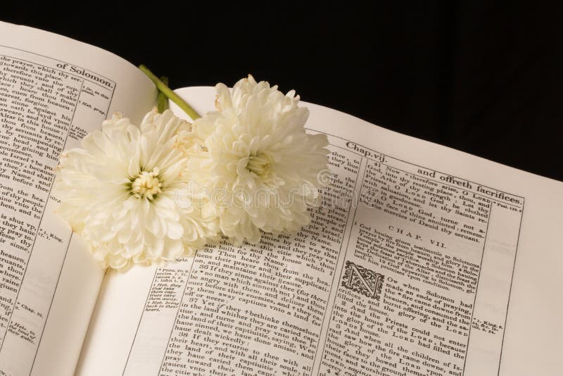 498 Open Bible Flowers Stock Photos - Free & Royalty-Free Stock Photos ...