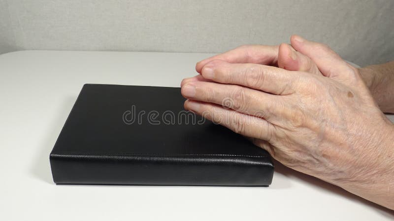 Bible on a White Background Stock Photo - Image of black, paws: 268444678