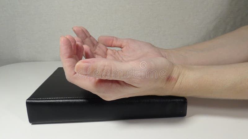 Bible on a White Background Stock Photo - Image of black, paws: 268444678