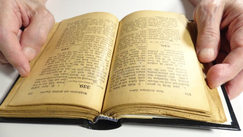 Bible on a White Background Stock Photo - Image of black, paws: 268444678