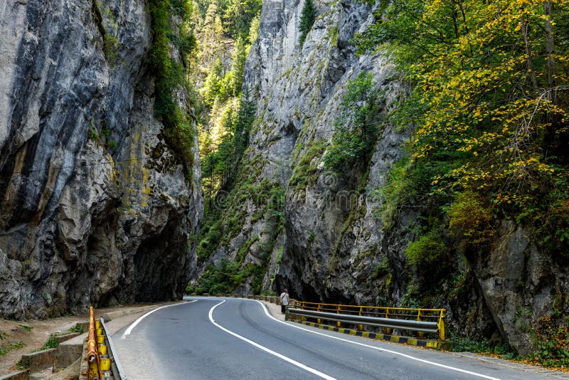 Bicaz Canyon in Romania stock photo. Image of creek - 240886698