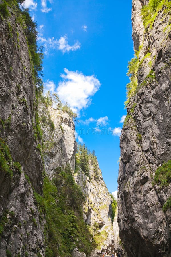 Bicaz gorges, Romania stock image. Image of cliff, summer - 214996655