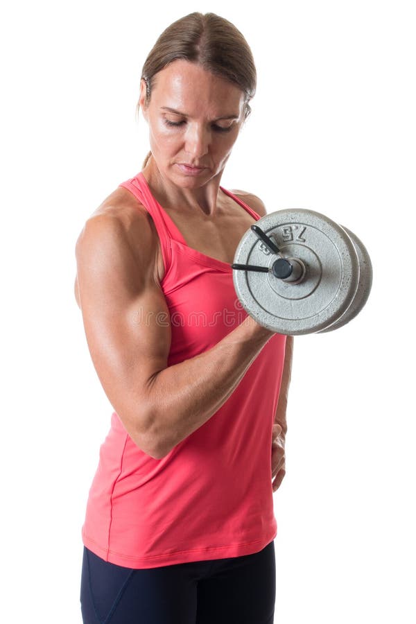 Biceps Curl stock photo. Image of strength, health, fitness - 23231646