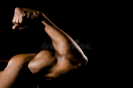 Bicep Flex stock image. Image of flex, exercise, trainer - 43003545