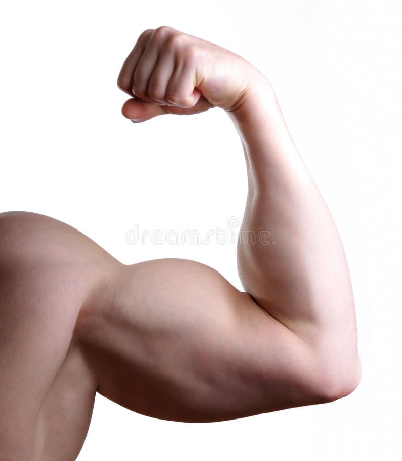 Biceps stock photo. Image of sprout, hand, force, health - 12160980