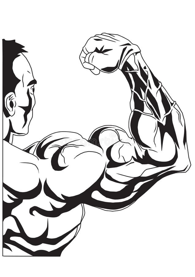 73+ Biceps drawing Free Stock Photos - StockFreeImages