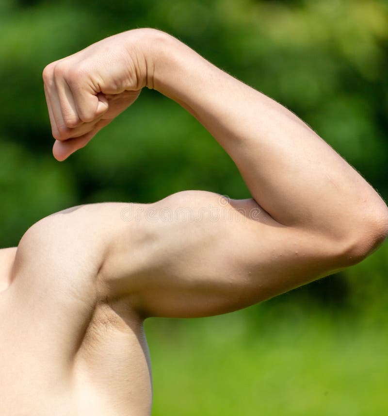 Biceps on the Guy& X27;s Arm Stock Photo - Image of hard, adult: 289715388