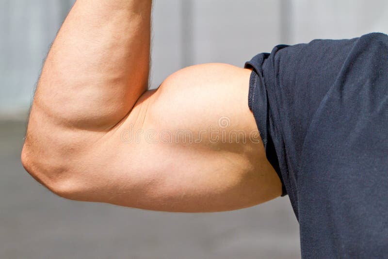 Biceps of a man stock photo. Image of healthy, athlete - 45487664