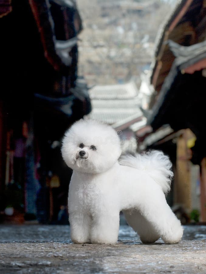 323 Origin Meaning Name Stock Photos - Free & Royalty-Free Stock Photos ...