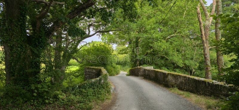 Bickham Bridge in the Parish of Diptford. Bickham Bridge .Devon Uk ...