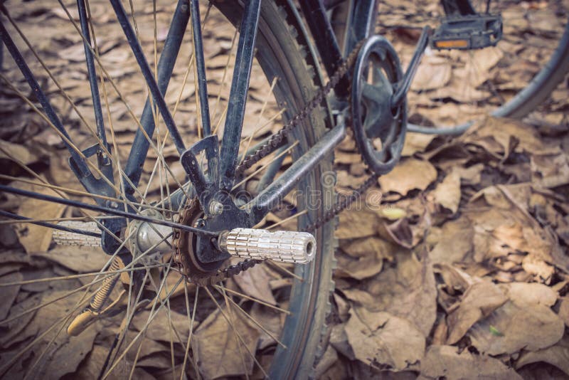 Bicycle and Autumn Dry Leaves Fall Stock Image - Image of rack, natural ...