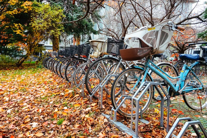 Bicycle in Autumn Season at Park Editorial Photo - Image of colorful ...
