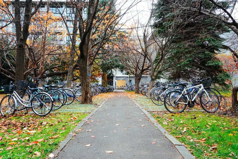 Bicycle in Autumn Season at Park Editorial Photo - Image of beauty ...