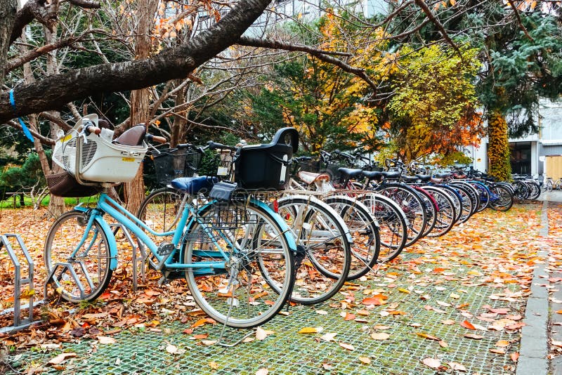 Bicycle in Autumn Season at Park Editorial Stock Image - Image of green ...