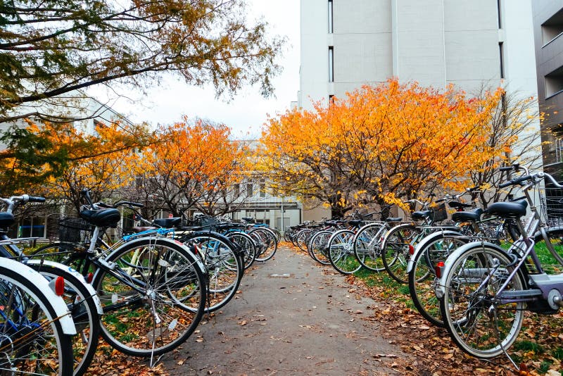 Bicycle in Autumn Season at Park Editorial Photo - Image of color ...