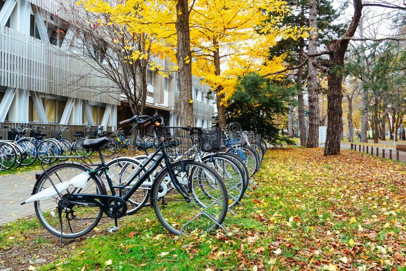 Bicycle in Autumn Season at Park Editorial Photography - Image of japan ...