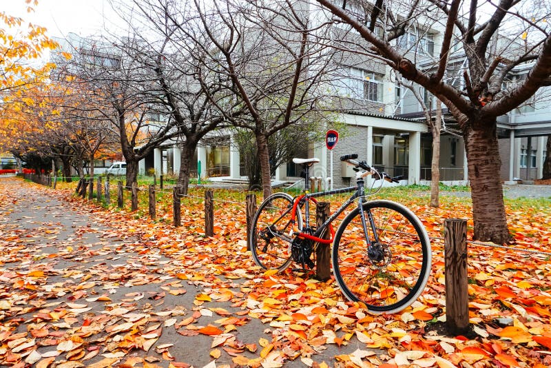 Bicycle in Autumn Season at Park Editorial Photo - Image of autumn ...