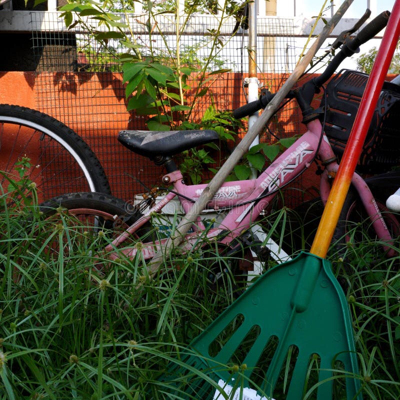 A Bicycle with a Broom in the Bush Editorial Stock Photo - Image of ...