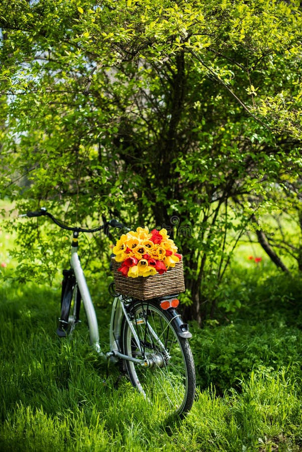 Bicycle with flowers stock photo. Image of green, decorated - 69921560