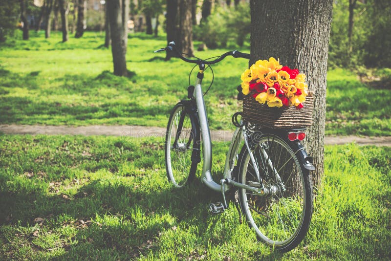 Bicycle with flowers stock photo. Image of green, decorated - 69921560