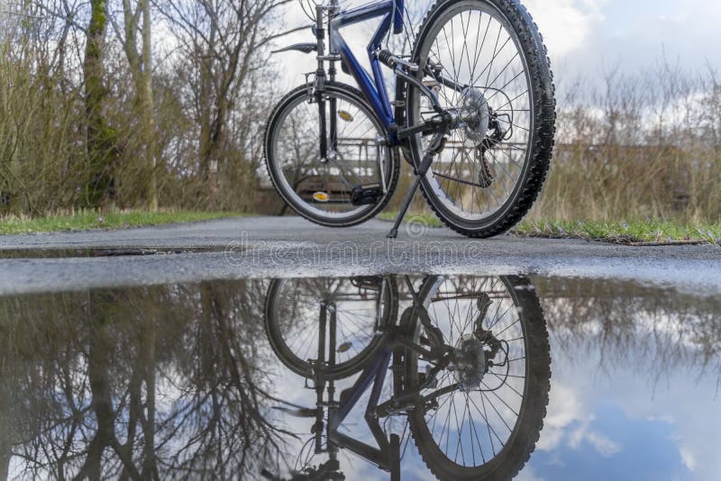 Bicycle on forest trail stock photo. Image of person - 89230768