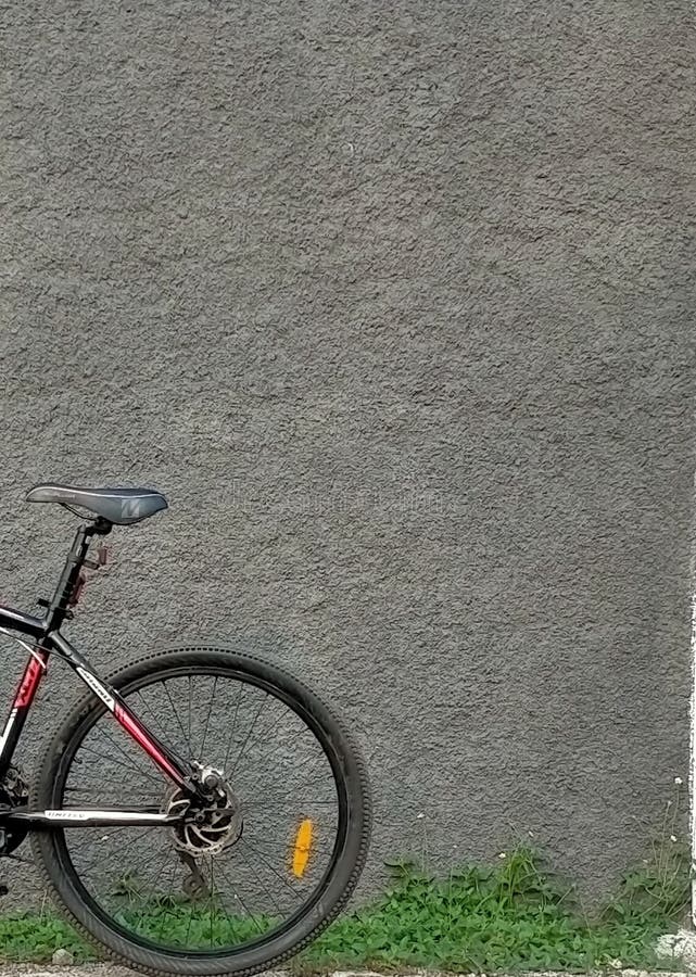 Bicycle in a Grey Home Office Interior with a Wooden Desk and Ch Stock ...