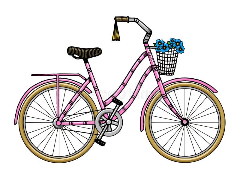 Bicycle Engraving Style Vector Illustration Stock Vector - Illustration ...