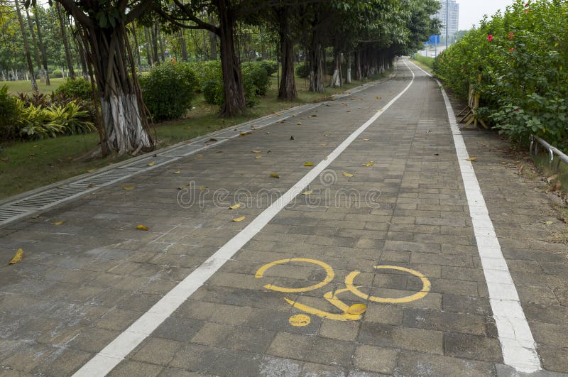 Bicycle lane stock photo. Image of special, greenway - 50033396