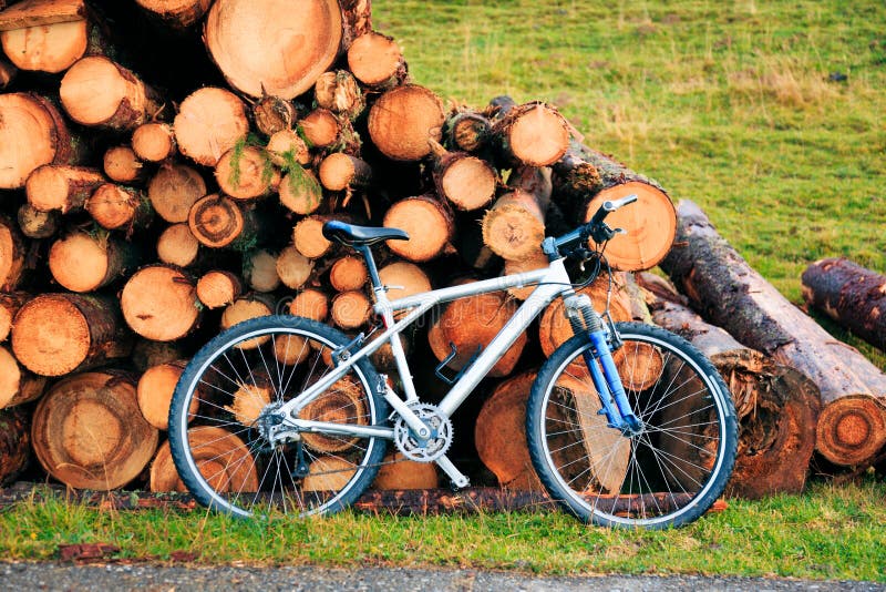 Bicycle Leaning Against Logs Stock Image - Image of meadow, logs: 93697335