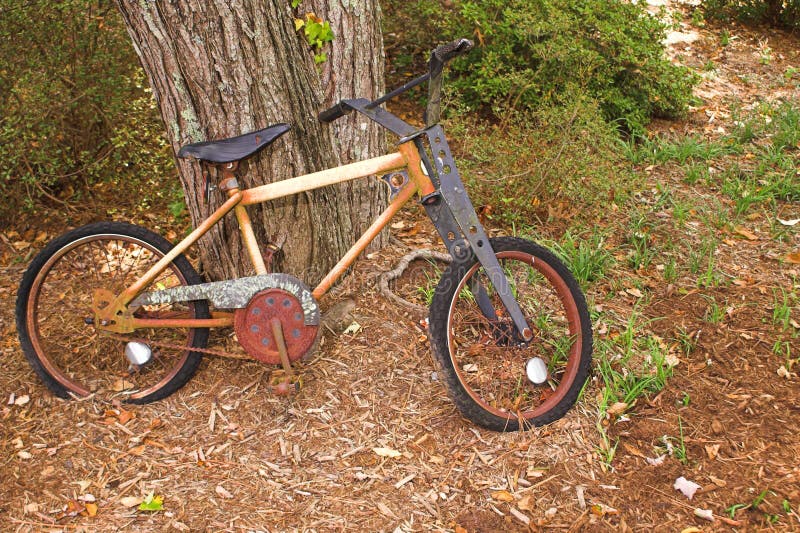 Bicycle Lost and Rusting Away Stock Photo - Image of grass, guard: 4873090