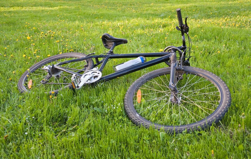 Bicycle lying on grass stock photo. Image of people, sports - 9544792