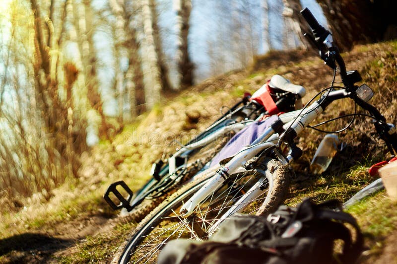 Bicycle Lying on the Ground. Tourist Trip To the Forest Stock Photo ...