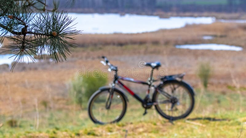 Bicycle on Nature Background. Pine Branch on River Background Stock ...