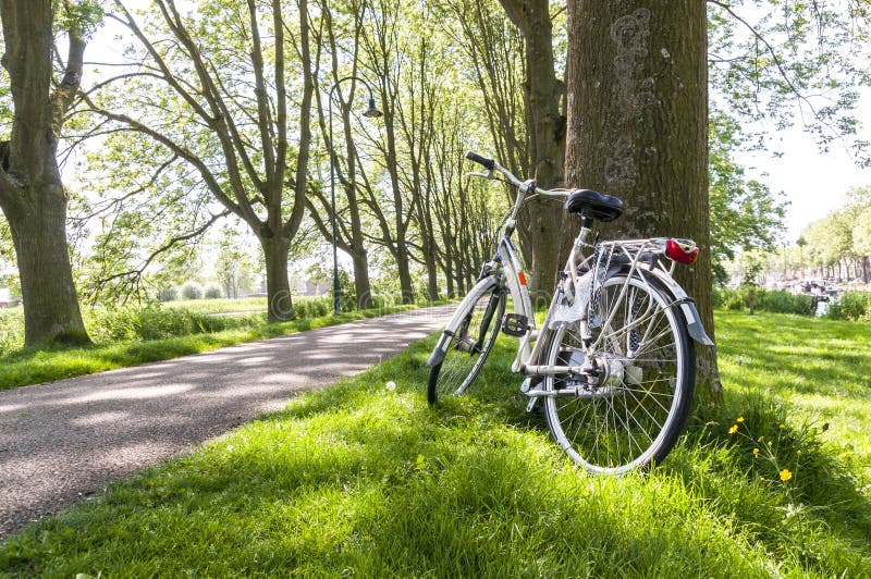 Bicycle in a Park stock photo. Image of bicycle, plant - 23373372