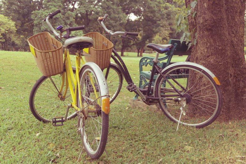 Bicycle in the Park. Vintage Retro Effect Style. Stock Image - Image of ...
