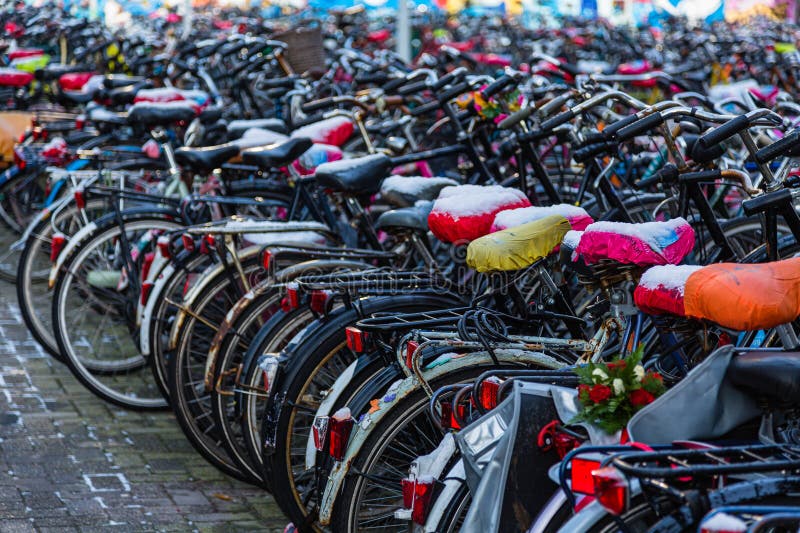 Bicycle Parking Lots Lined Up with Bicycles in the Netherlands Stock ...